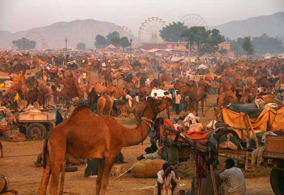 Kuch Khatta Kuch Meetha: Pushkar Fair of Rajasthan