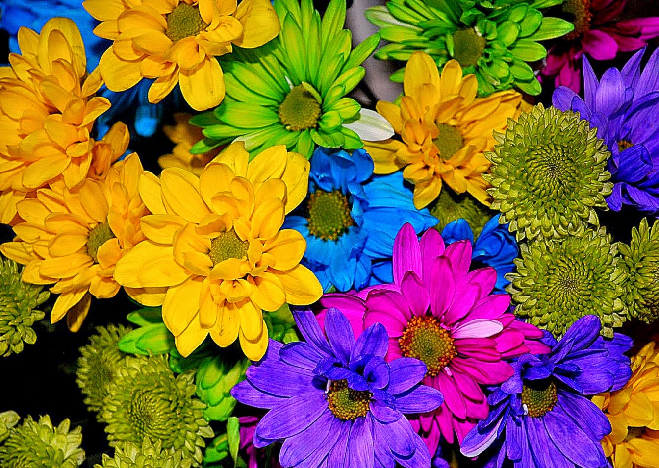 Free Coloring Pictures: Colored Pictures Of Flowers
