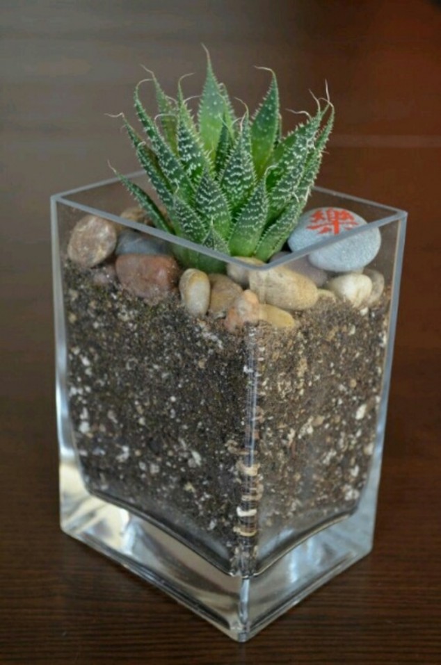 15 Simple But Creative DIY Ideas To Grow Plants And Decorate Your Home ...