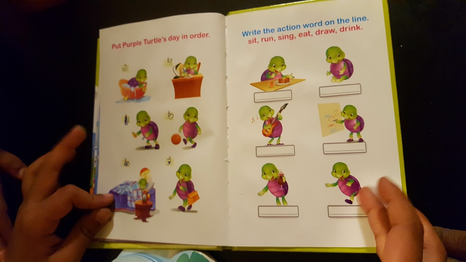 Fantastic Feathers: Purple Turtle - [Book Review]