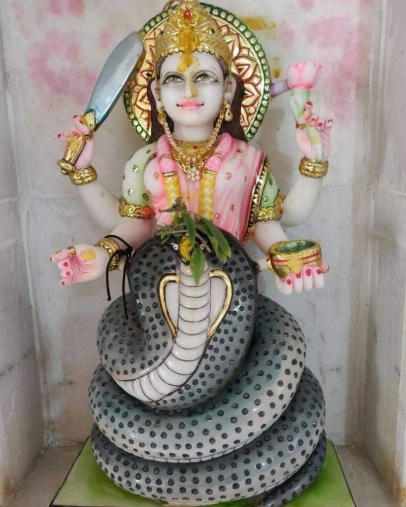 राठौड़ों की कुलदेवी नागणेची माता का इतिहास ( History of Nagnechi Mata )