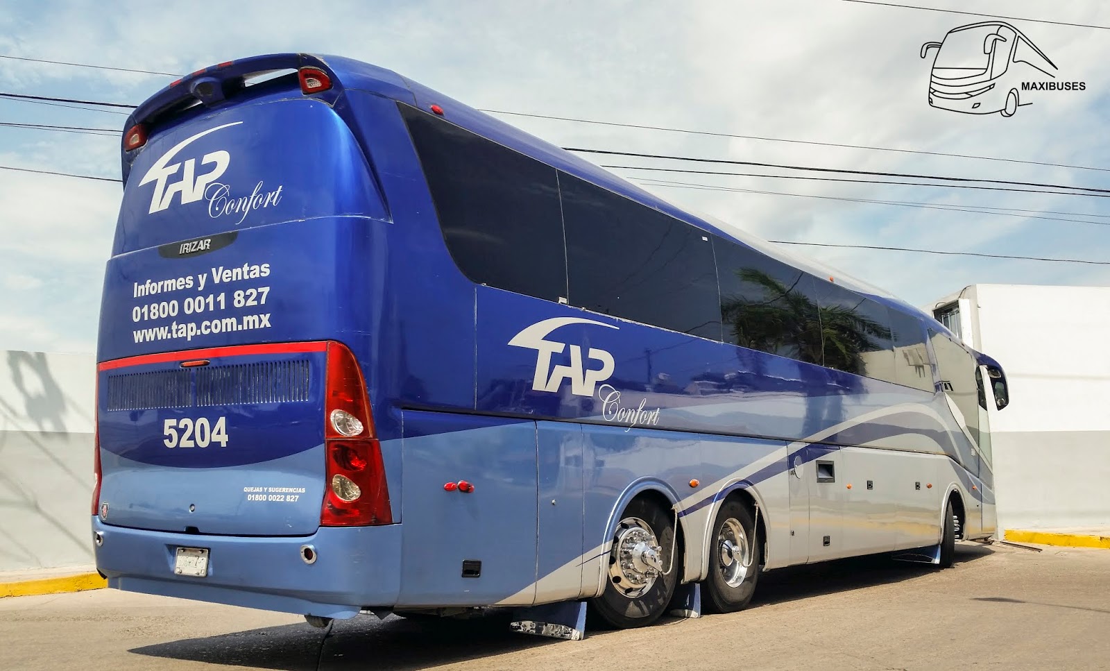 MAXIBUSES: TRANSPORTES Y AUTOBUSES DEL PACÍFICO, CONFORT (TAP CONFORT)