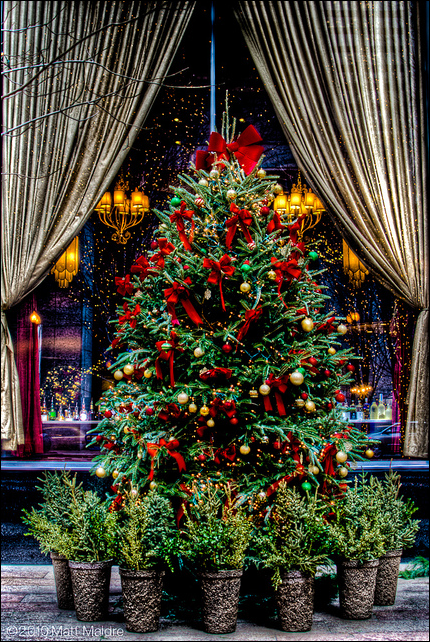 toekana: THE BEST CHRISTMAS TREES - ΤΑ ΩΡΑΙΟΤΕΡΑ ΧΡΙΣΤΟΥΓΕΝΝΙΑΤΙΚΑ ΔΕΝΤΡΑ