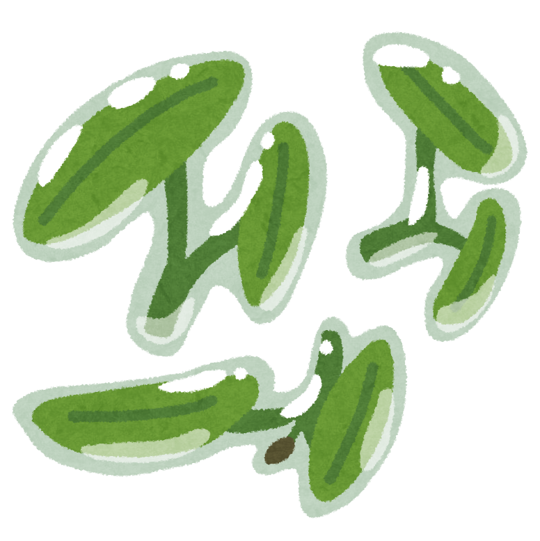 ジュンサイのイラスト | かわいいフリー素材集 いらすとや