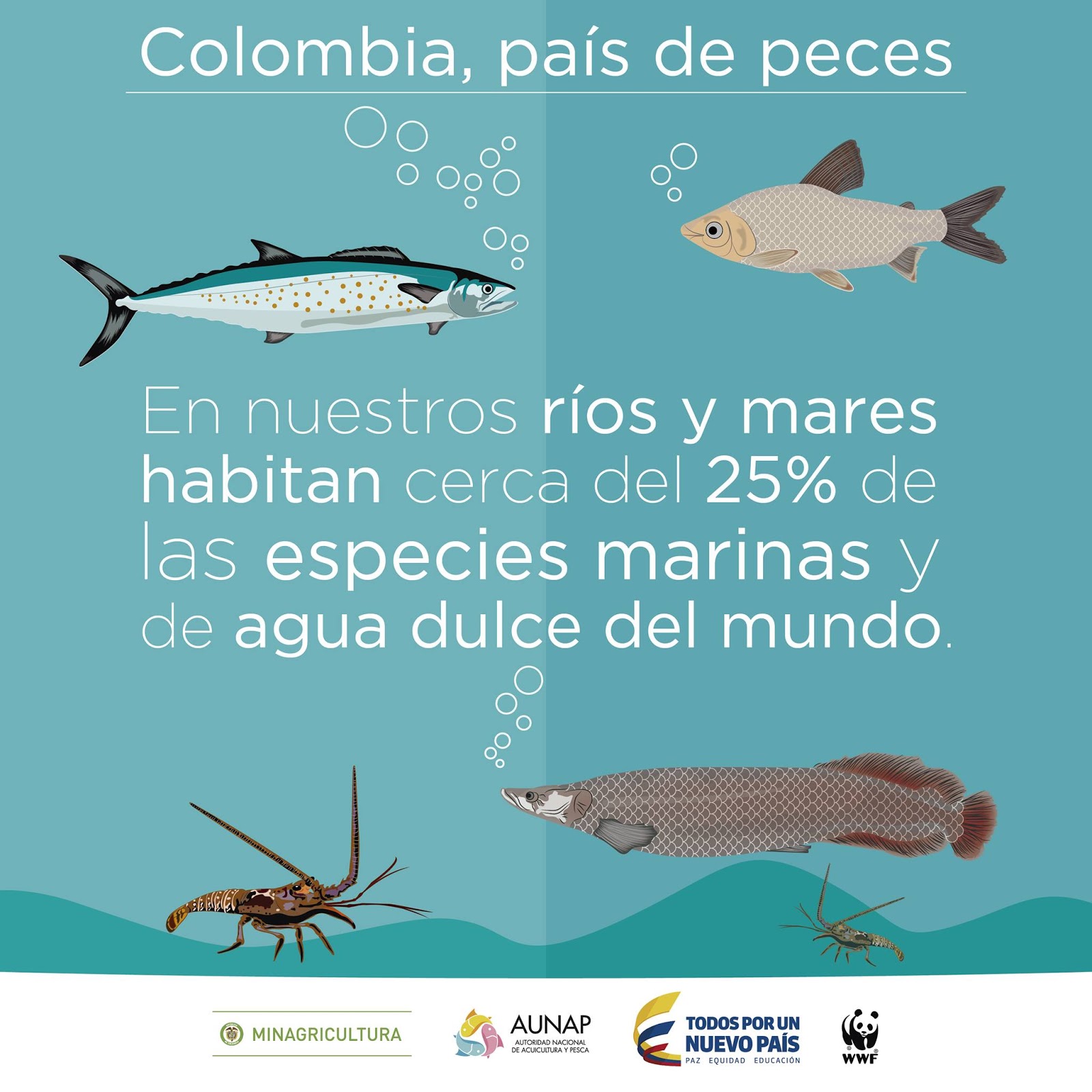 Espacio de Pesca: Colombia Pais de Peces