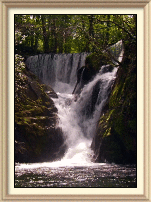 Resim ve Gif Dünyası: HAREKETLİ MANZARA RESİMLERİ ve GİFLERİ -1-