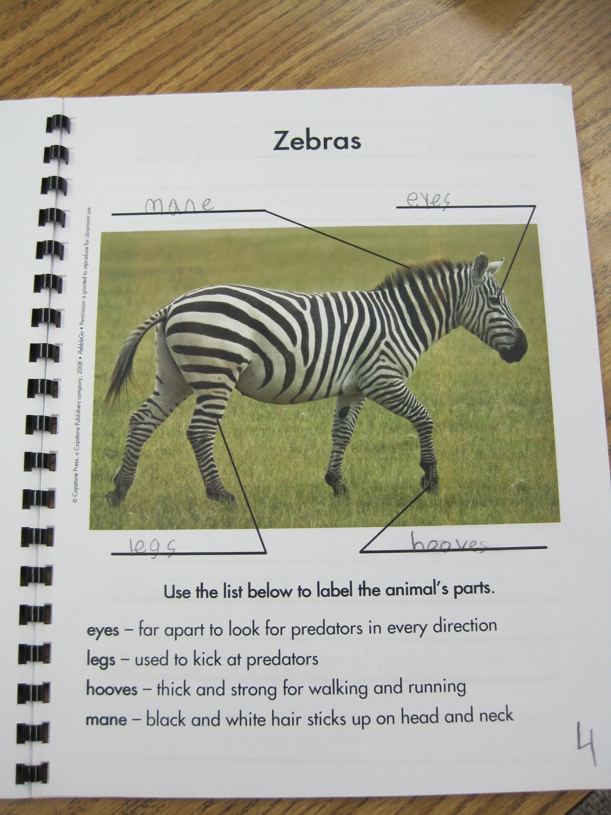 Ms.M's Blog: Animal Reserch Reports