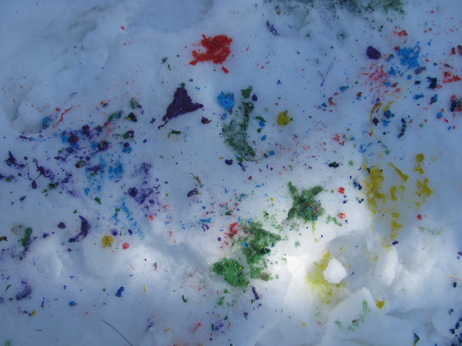 Carp Ridge Forest Preschool