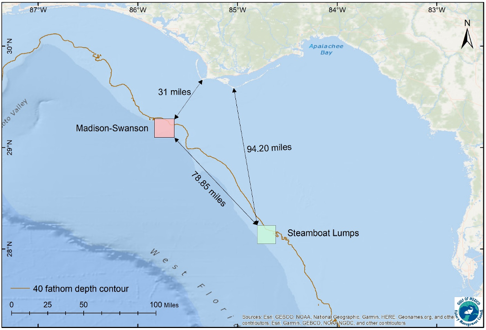 Gulf Currents: June Council Meeting Preview