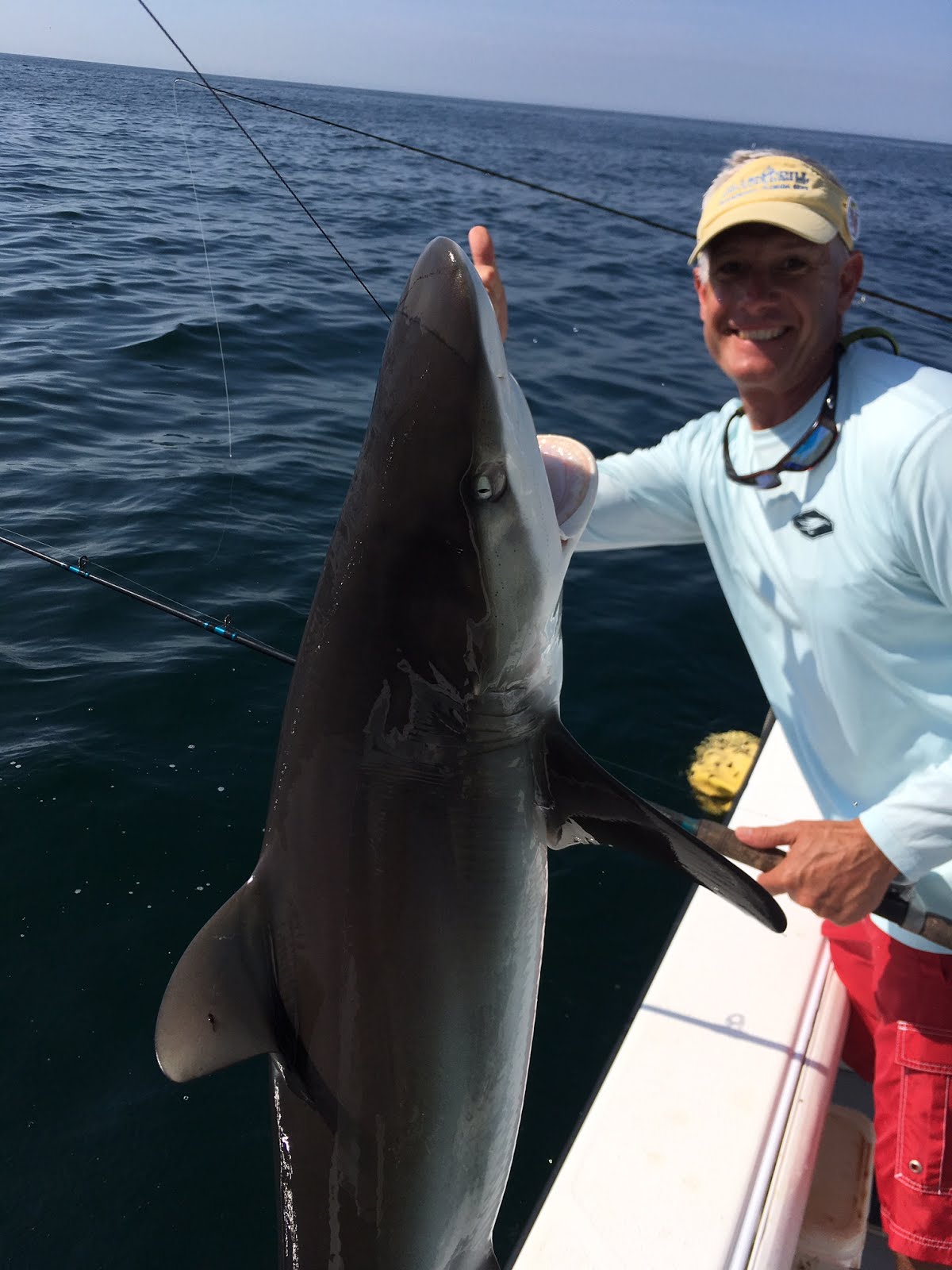 Jersey Cape Guide Service: Inshore Sharking