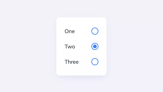 Top 5 Custom CSS Radio Button Examples
