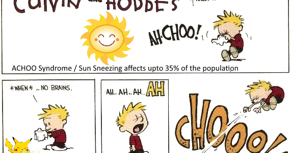 Ideaz : ACHOO syndrome - Sun sneezers and the Photic Sneeze Reflex