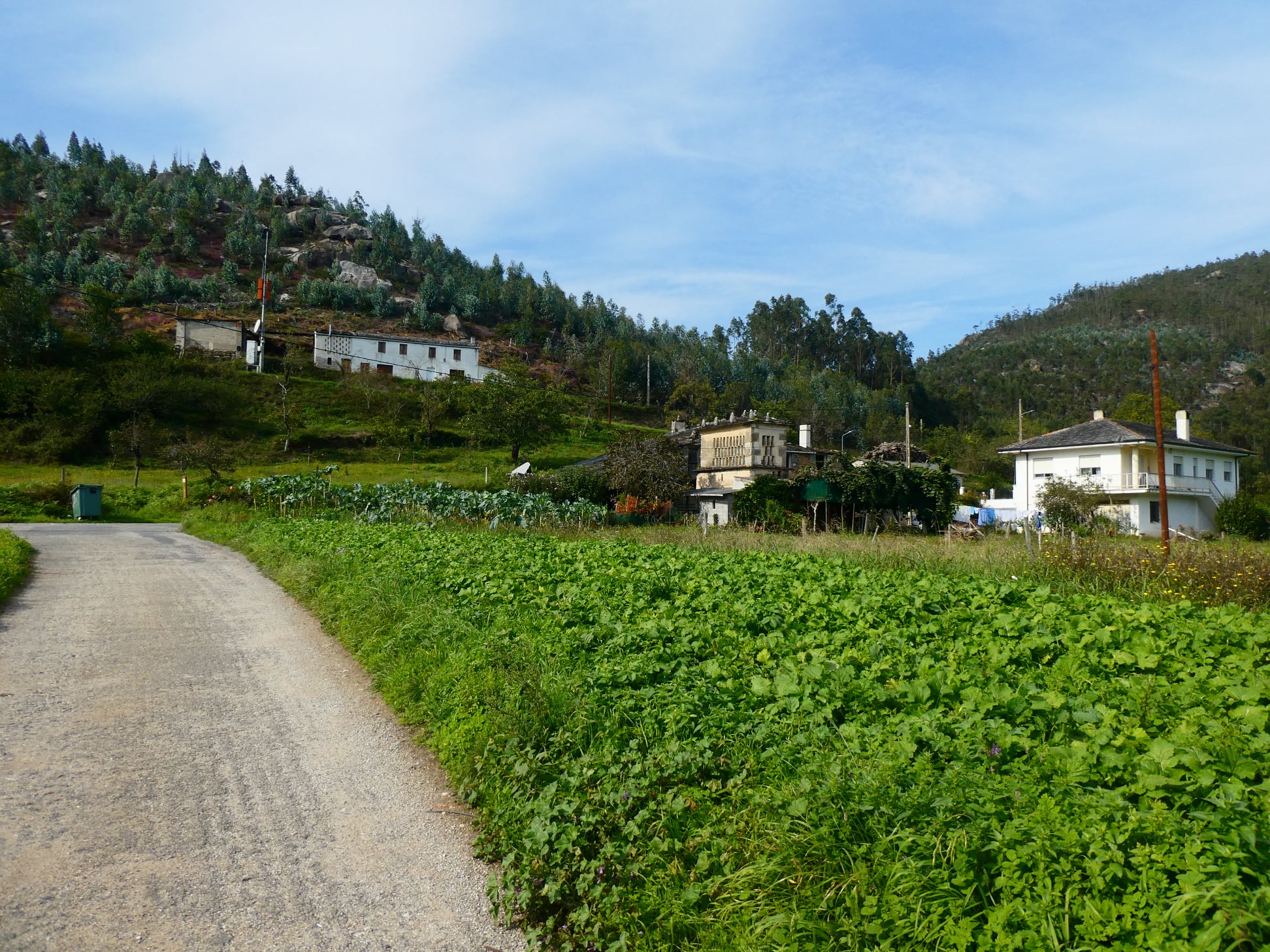 Xurde Morán: VILOALLE, EL COTO DA RECADIERIA Y SAN LÁZARO: ENLACE CON ...