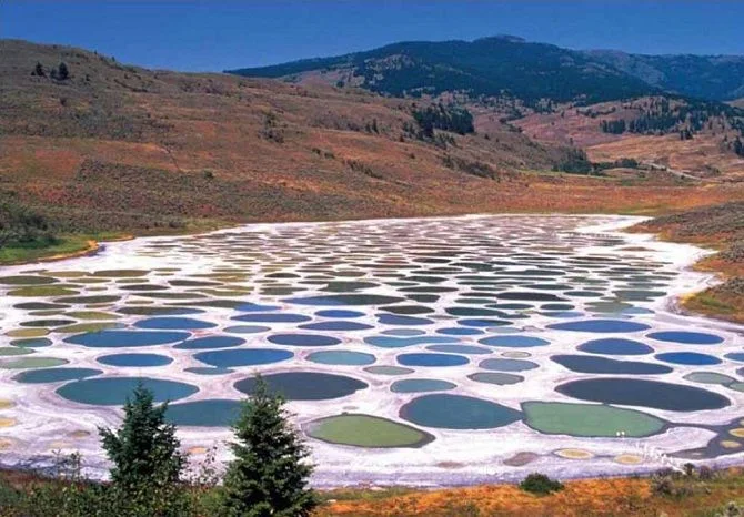 Spotted Lake, British Columbia, Canada (with Map & Photos)