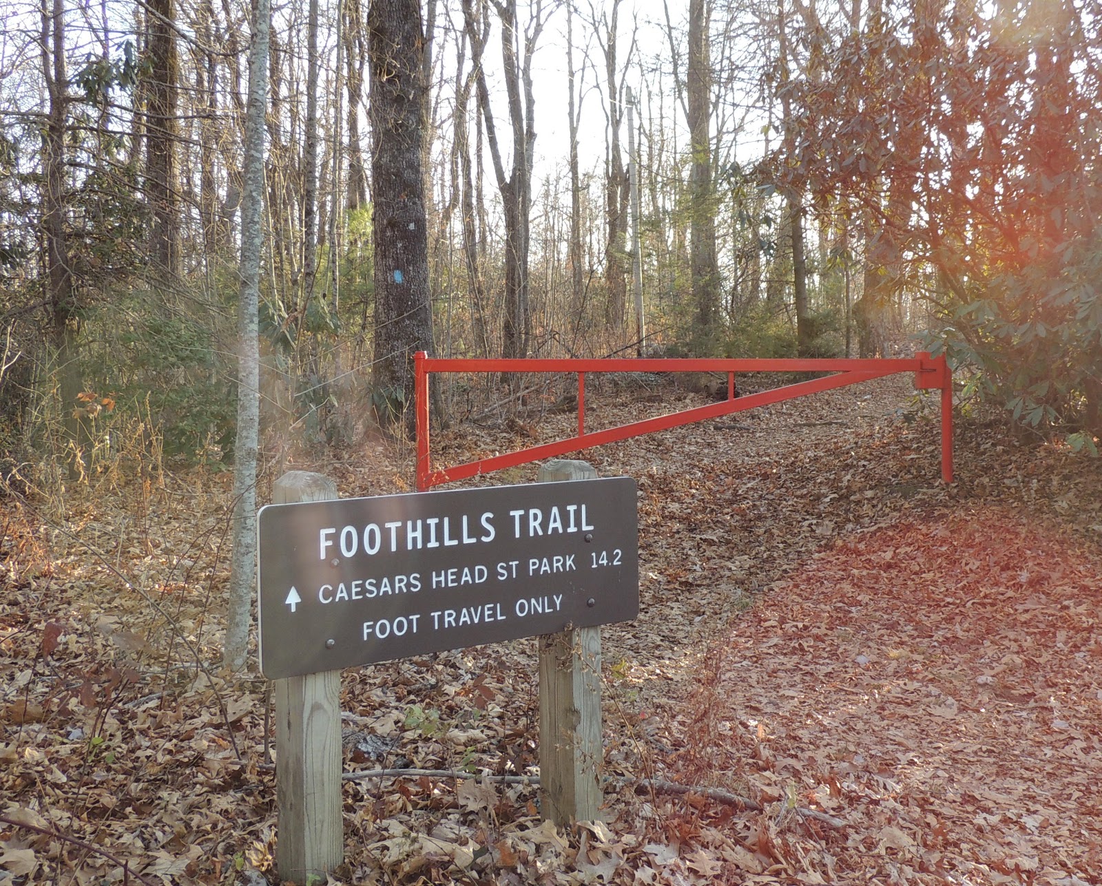 1000 Hikes in 1000 Days: Day 745: Highest Peak in South Carolina ...