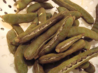 Woods Roamer: Living off the Land: Texas Ebony Beans