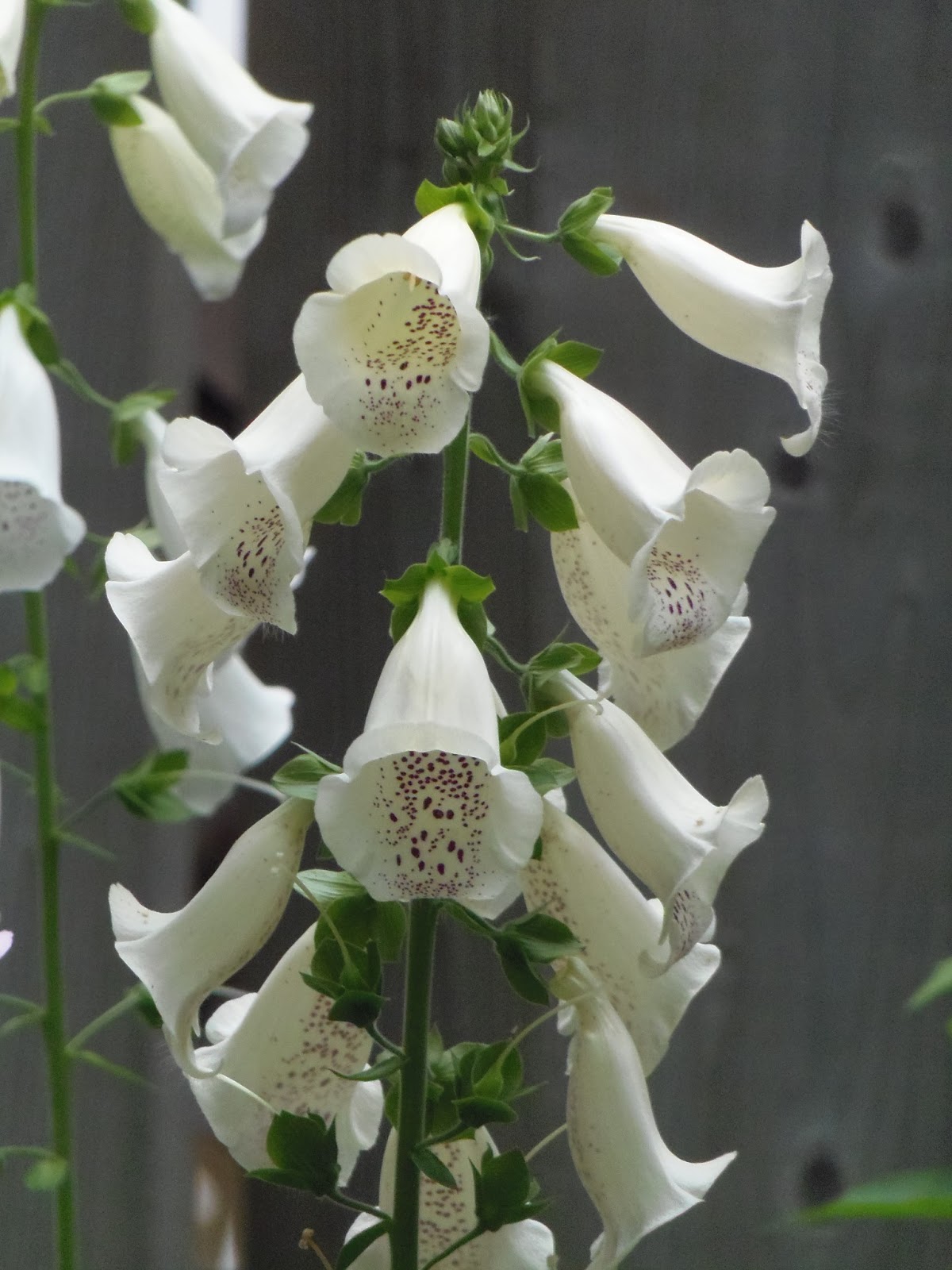 Faeries and Fibres: REWIND: Starry Gazey Pie revealed and some how-to tips