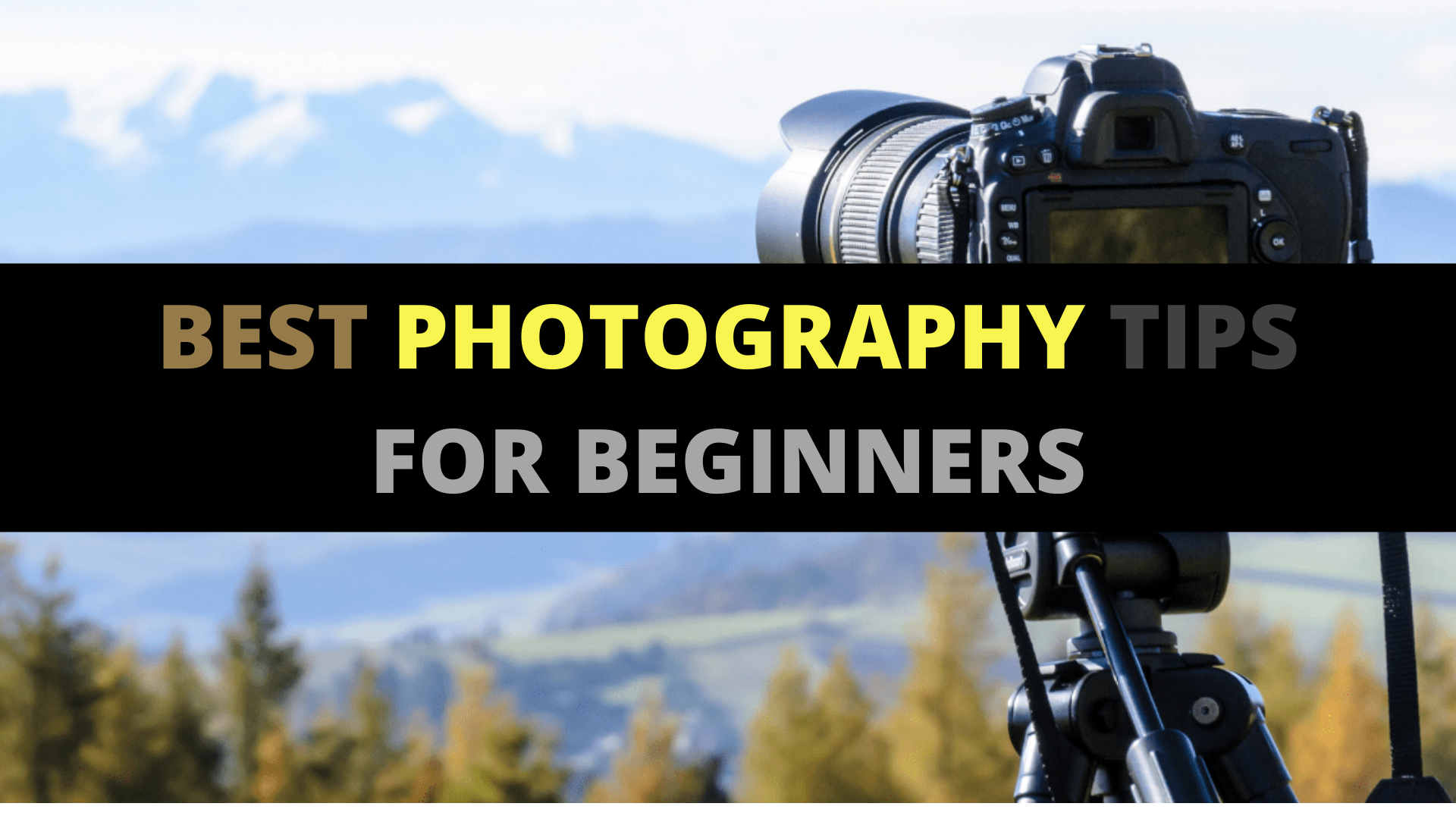 Top 5 - Best Photography Tips for Beginners