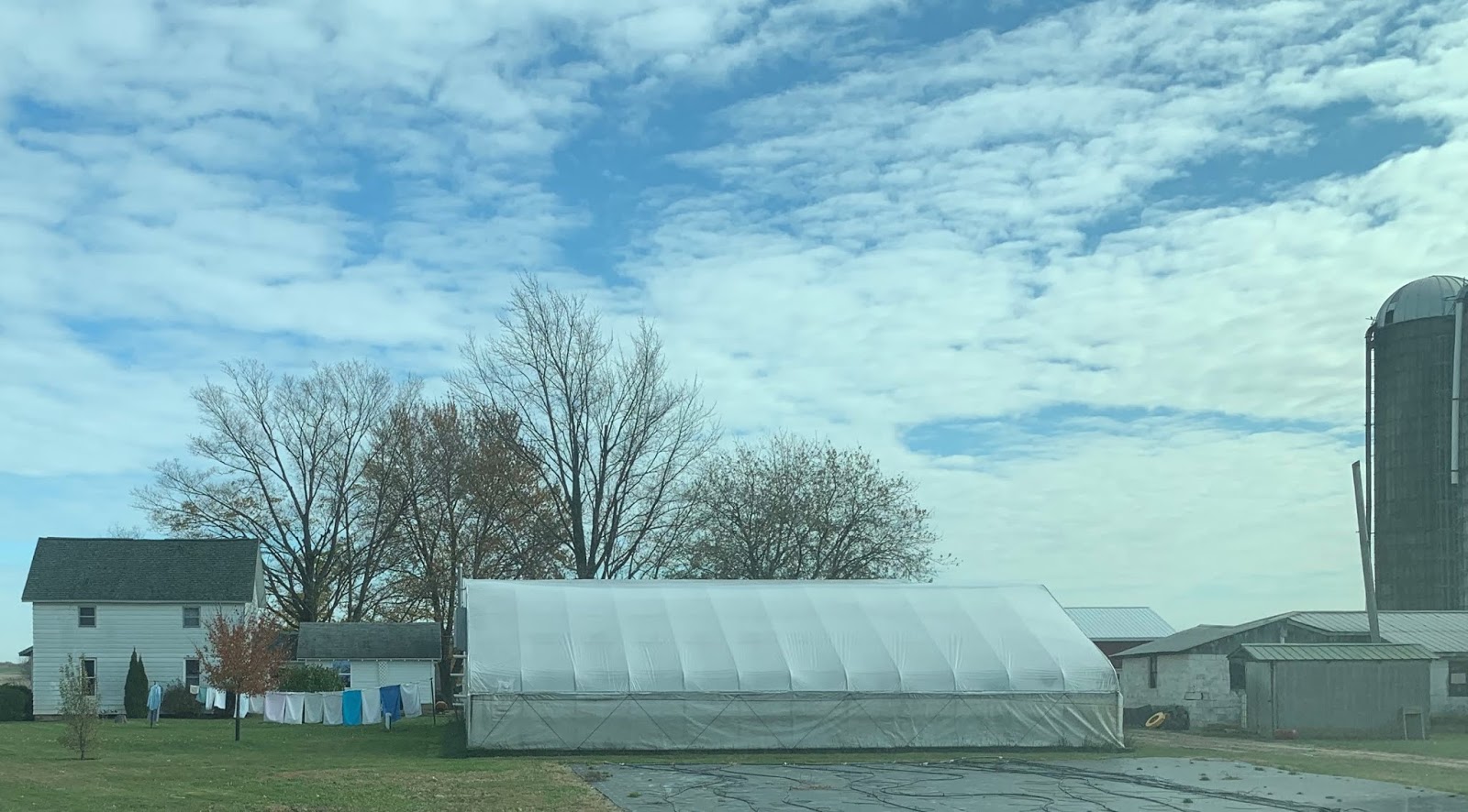 Amish Horses: Amish Farm Fall Tour