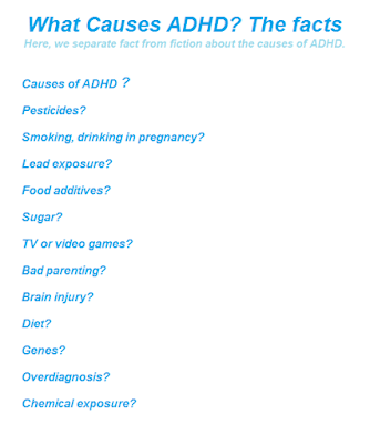 The solution for you: What Causes ADHD? 12 Myths and Facts