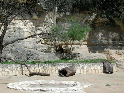 The Circus "NO SPIN ZONE": San Antonio Zoo Lion and Tiger Grotto's