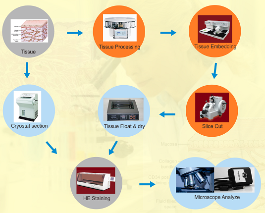 Histology Instruments