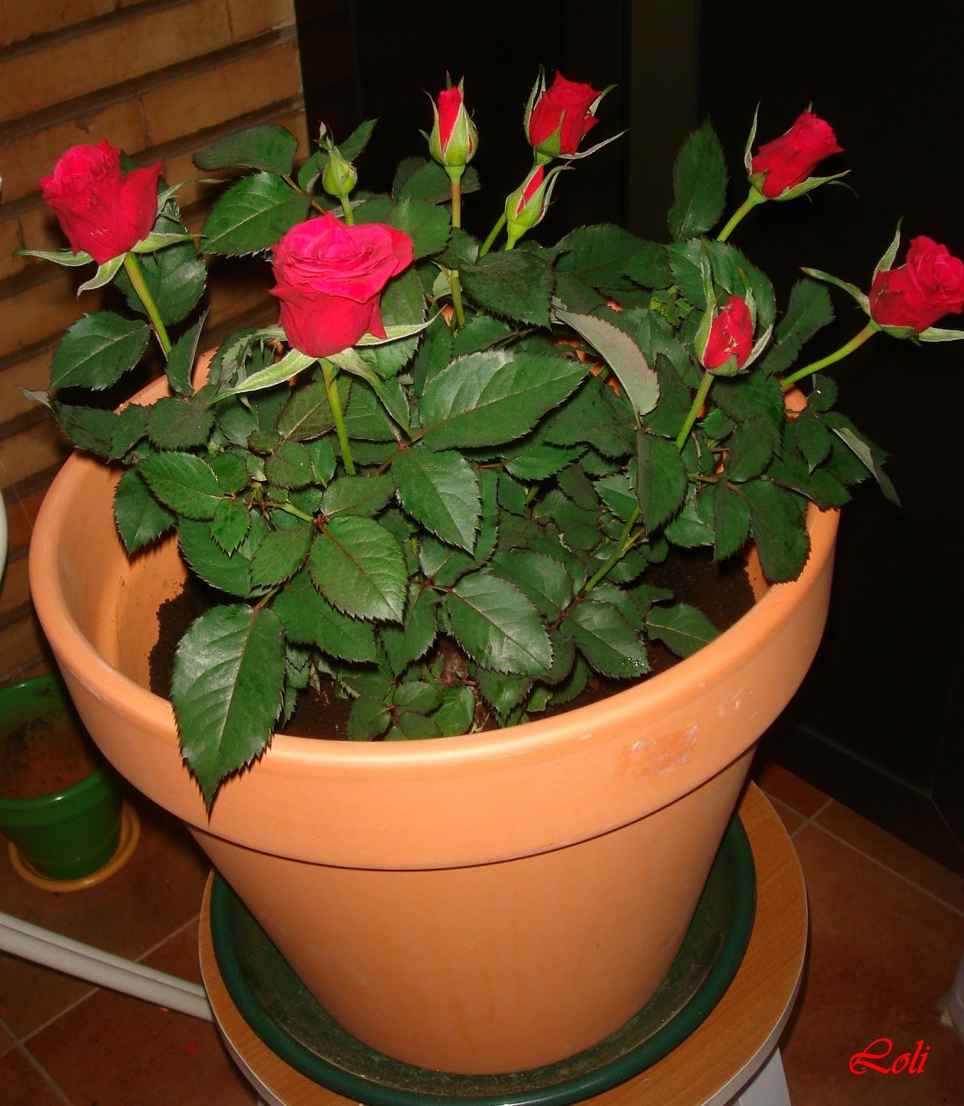 LAS CIEN PUERTAS DE EUNATE.: LA POESÍA DE ANTONIO PORPETTA