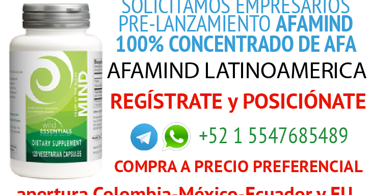 1 Vida Divina México : Te Divina, Hcg Reactor, Life, Ignite, Brian ...