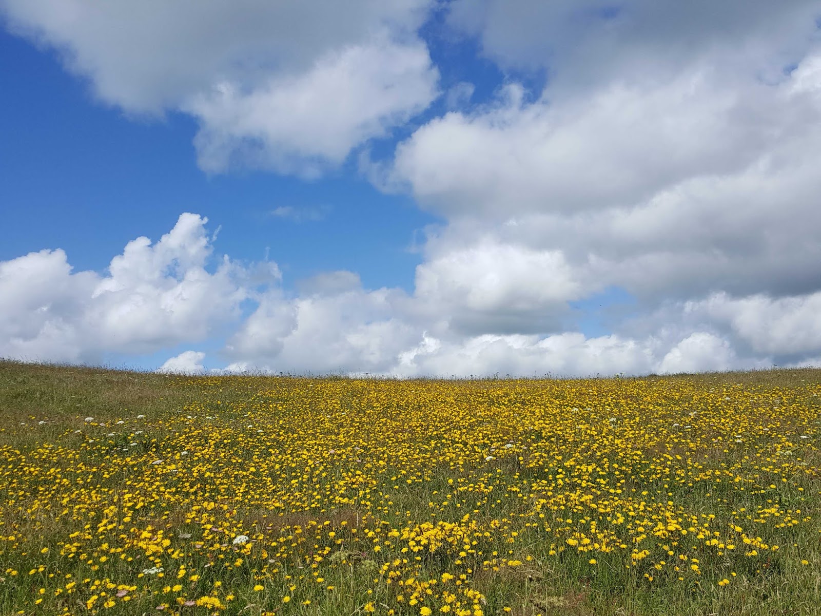 RESTAURANTS AND FOOD: Knockadoon Cliff Walks