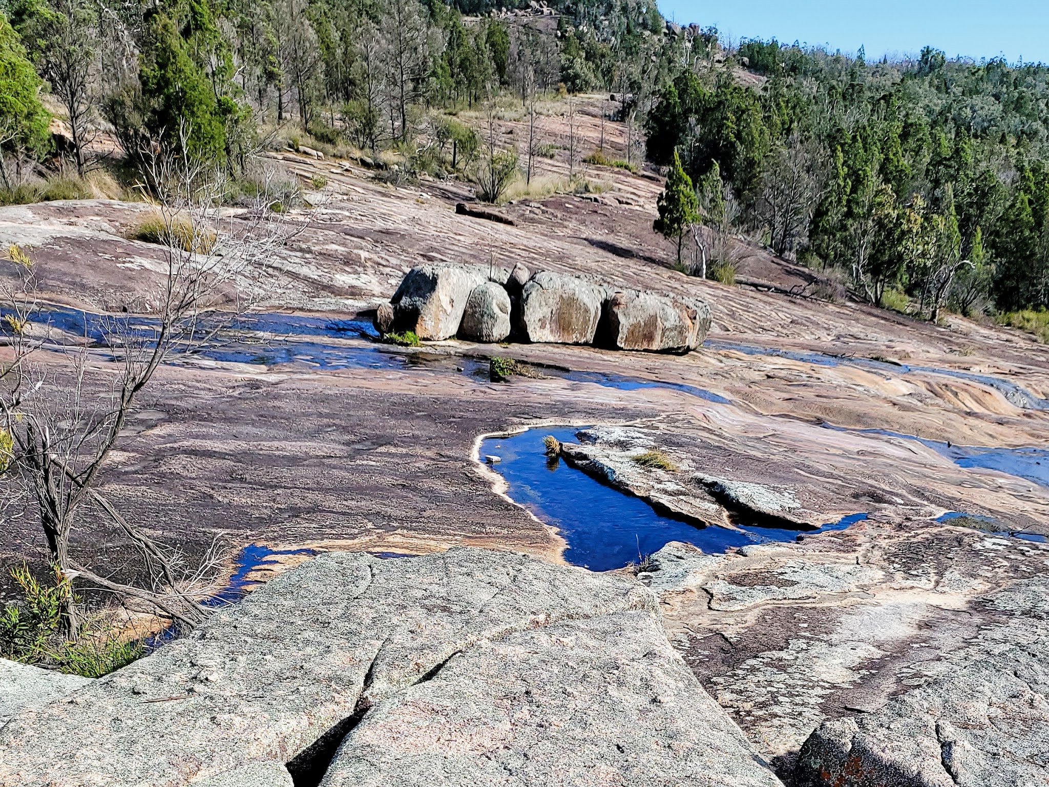 Fassifern Field Naturalists: Outing Report - Autumn Camp: Foxbar Falls ...