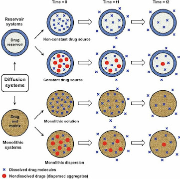 Polymer- Mechanism of Drug Release brief explaination