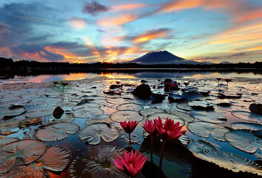 Sampaloc Lake, San Pablo City, Philippines | Corner Of The World