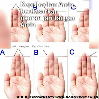 KEPRIBADIAN BERDASARKAN UKURAN JARI TANGAN - Kumpulan Cerita Dan Gambar ...