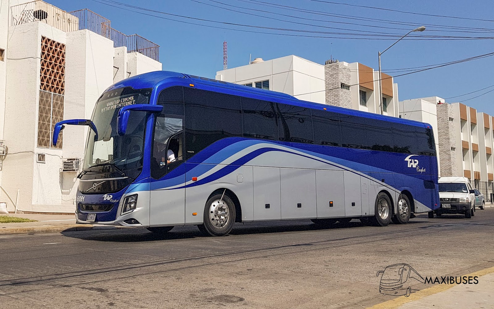 MAXIBUSES: TRANSPORTES Y AUTOBUSES DEL PACÍFICO, CONFORT (TAP CONFORT)