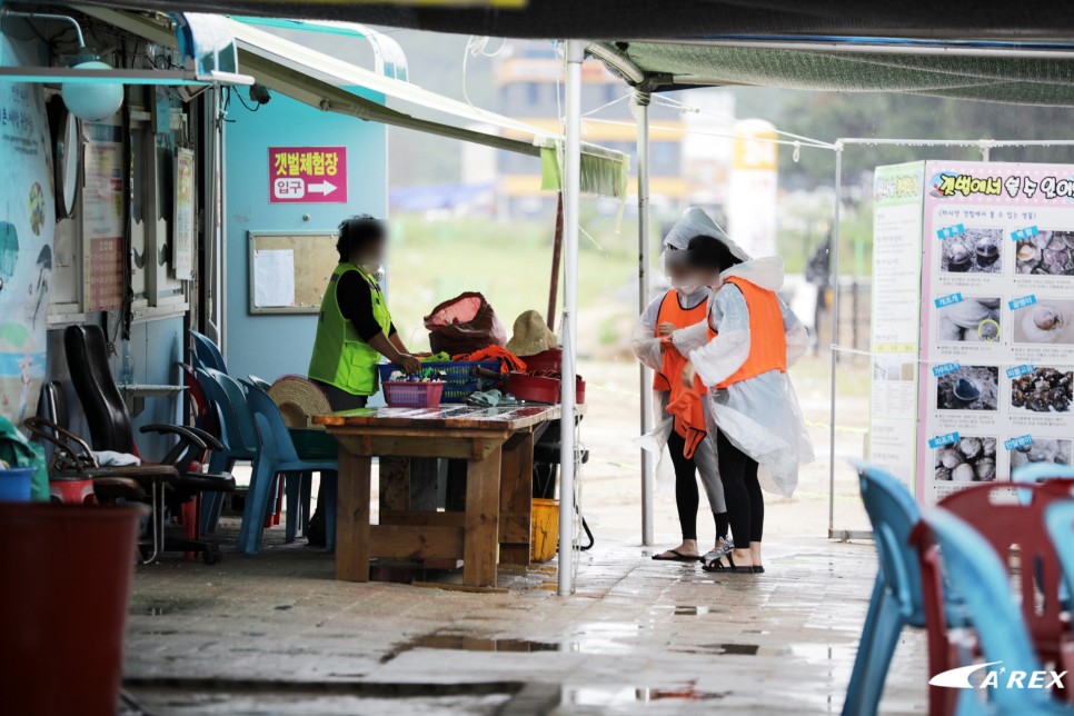 AREX: [Incheon] Yeongjongdo Masian Mudflat Experience