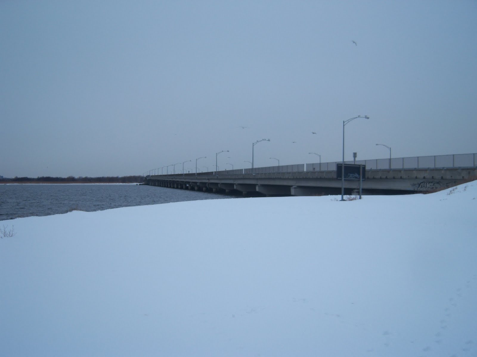 Long Distance Voyager: Bridge of the Week #49: Congressman Joesph P ...