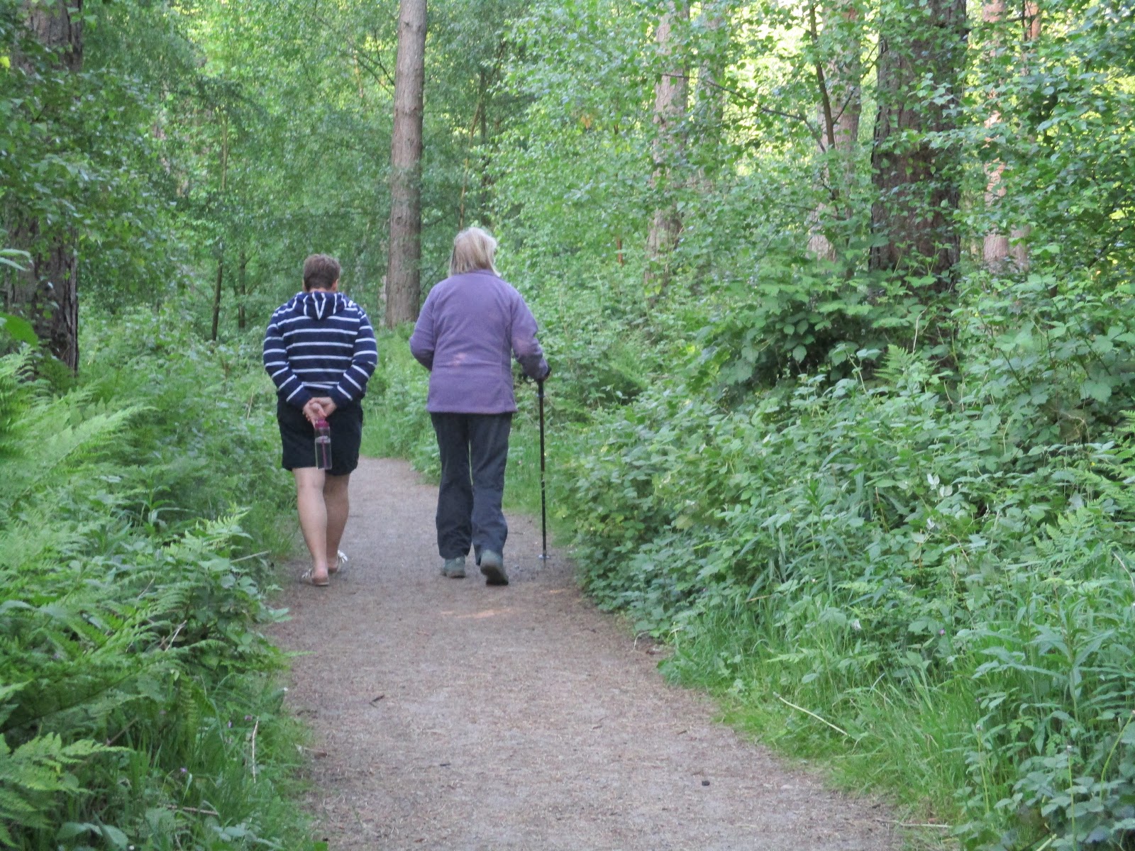 Trundling through life: Going for a walk