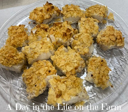 A Day in the Life on the Farm: Potato Chip Crusted Cod #SundayFunday