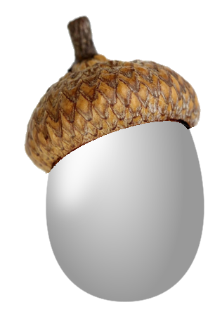 Gypsy Scholar: I am an Eggcorn!