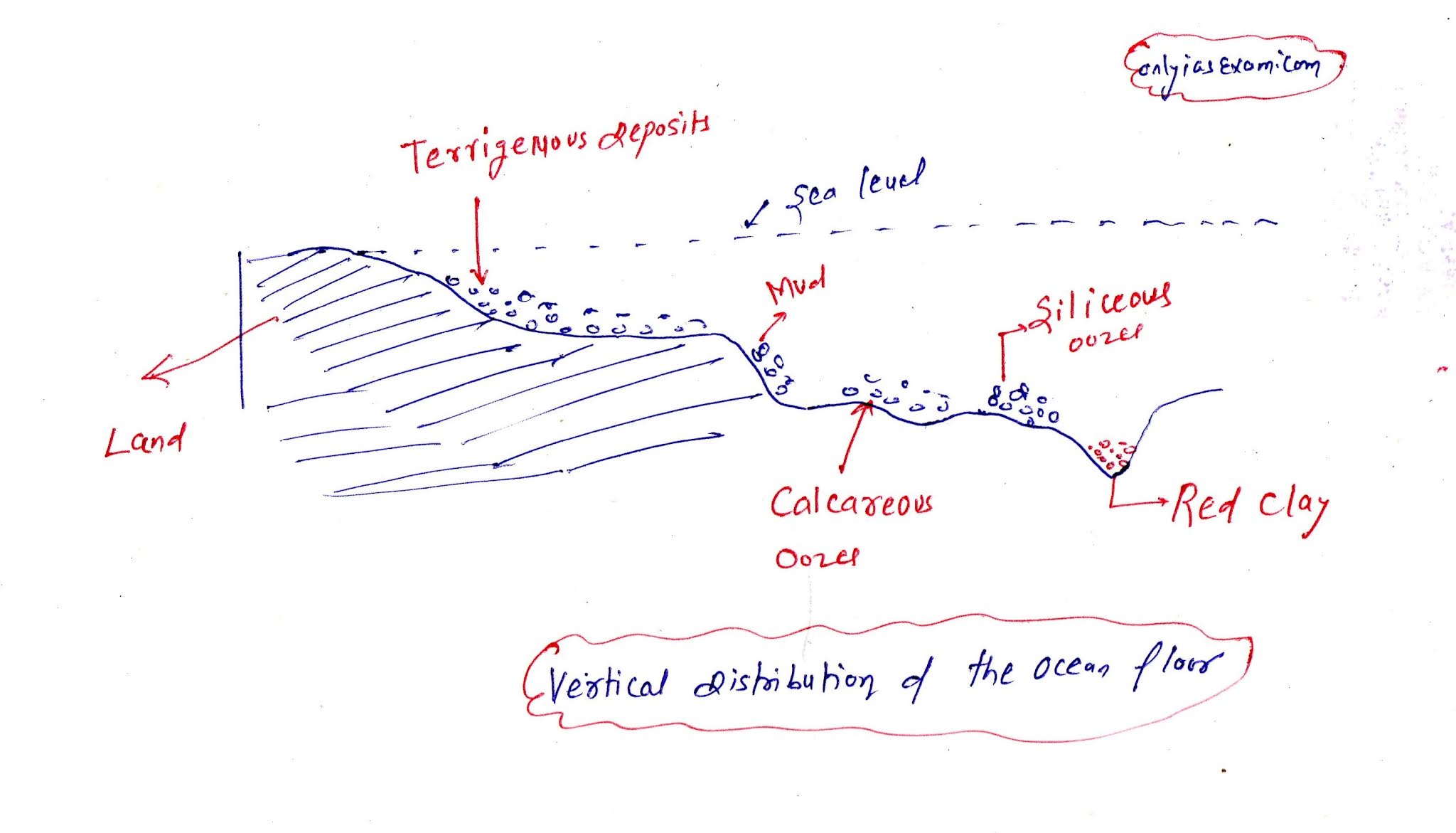 Explain the main sources of ocean deposits and their vertical ...