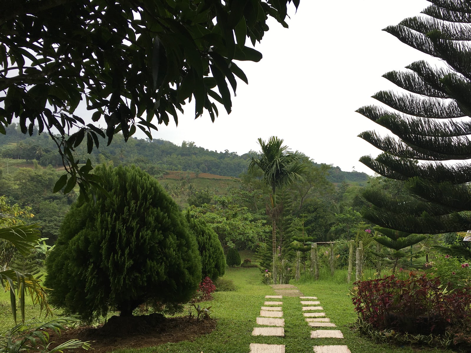 Nature's Presents : 🤳Adlawon Vacation Farm