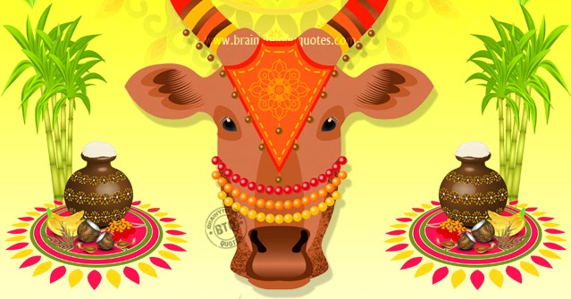 Kanuma Festival Wishes Quotes Greetings in Telugu for Whats App DP ...