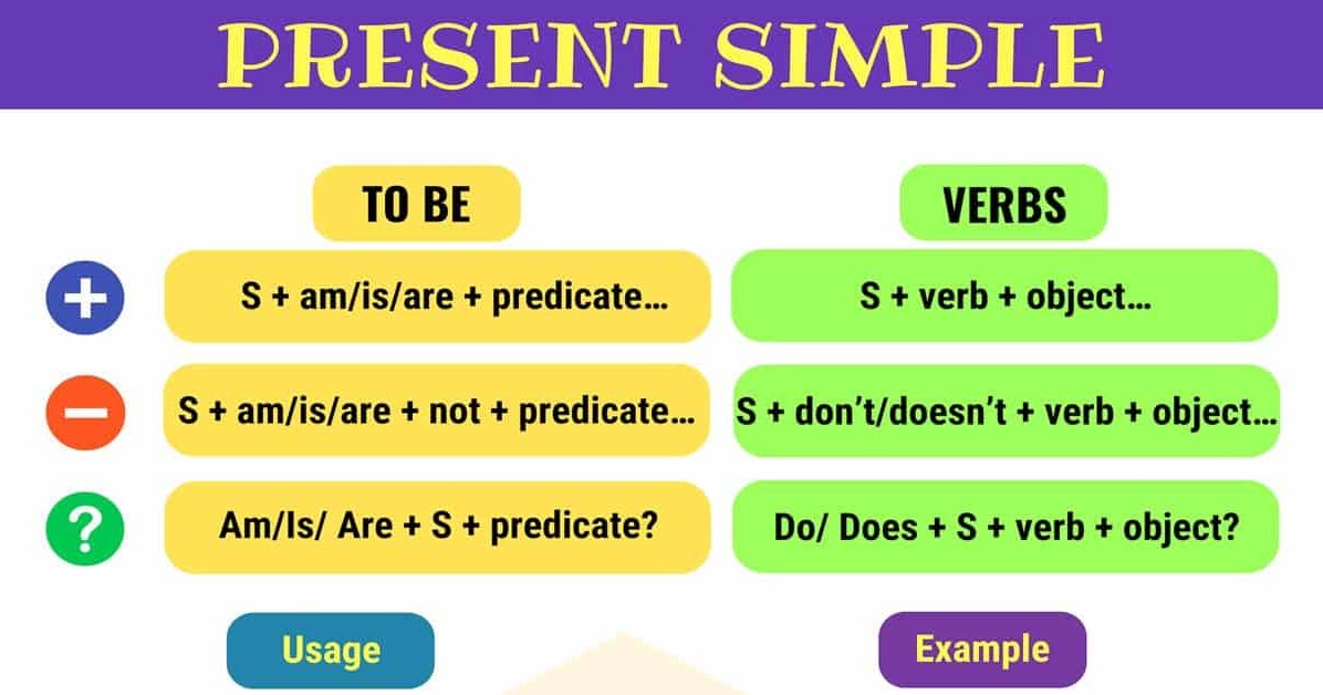 Grade 6 - 13 - Simple present tense exercises with answers - www.lkedu.lk