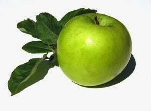 Teratak Niaga Ku: Qu Puteh by Vida Beauty