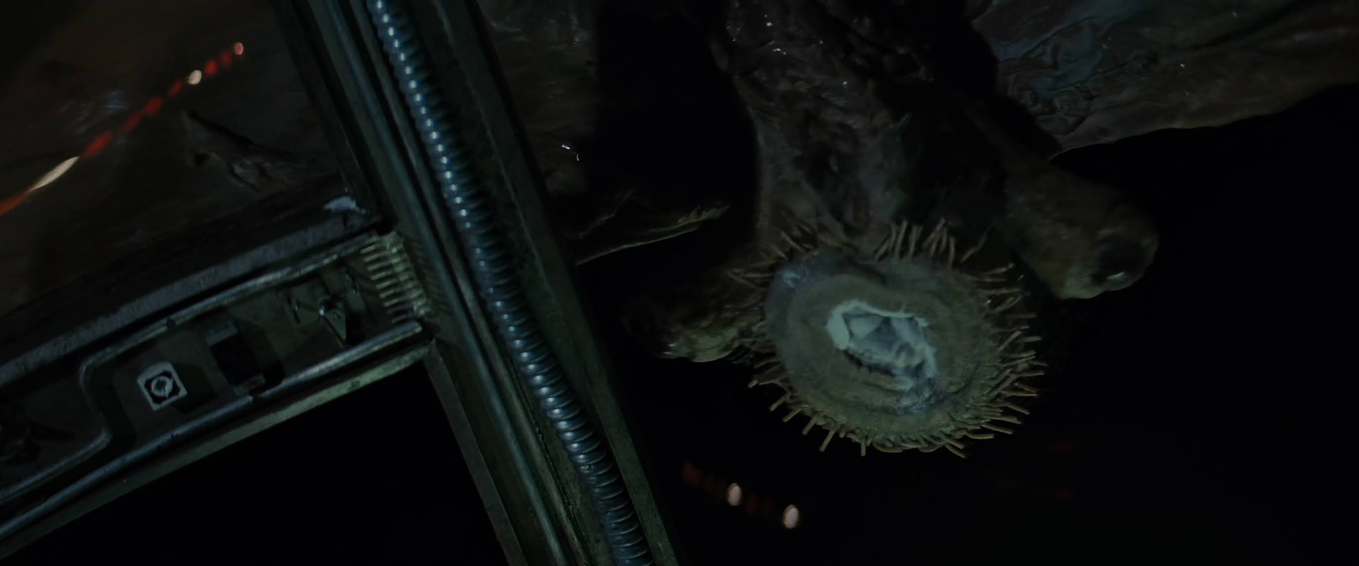 STAR WARS AFICIONADO WEBSITE: AN 'EMPIRE' AT 40: "MYNOCKS!"