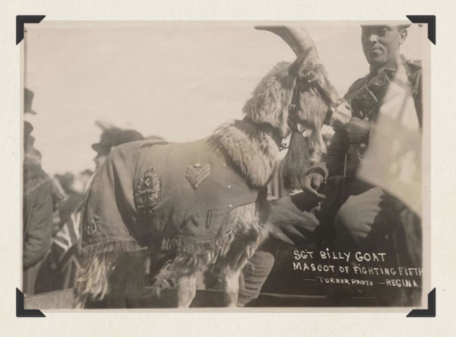 The Children's War: Sergeant Billy: The True Story of the Goat Who Went ...