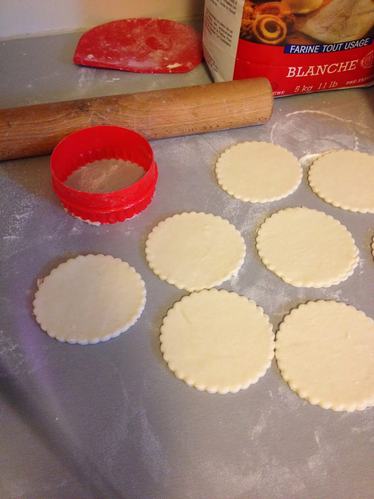 Bichons au citron ~ Domiline Sawer