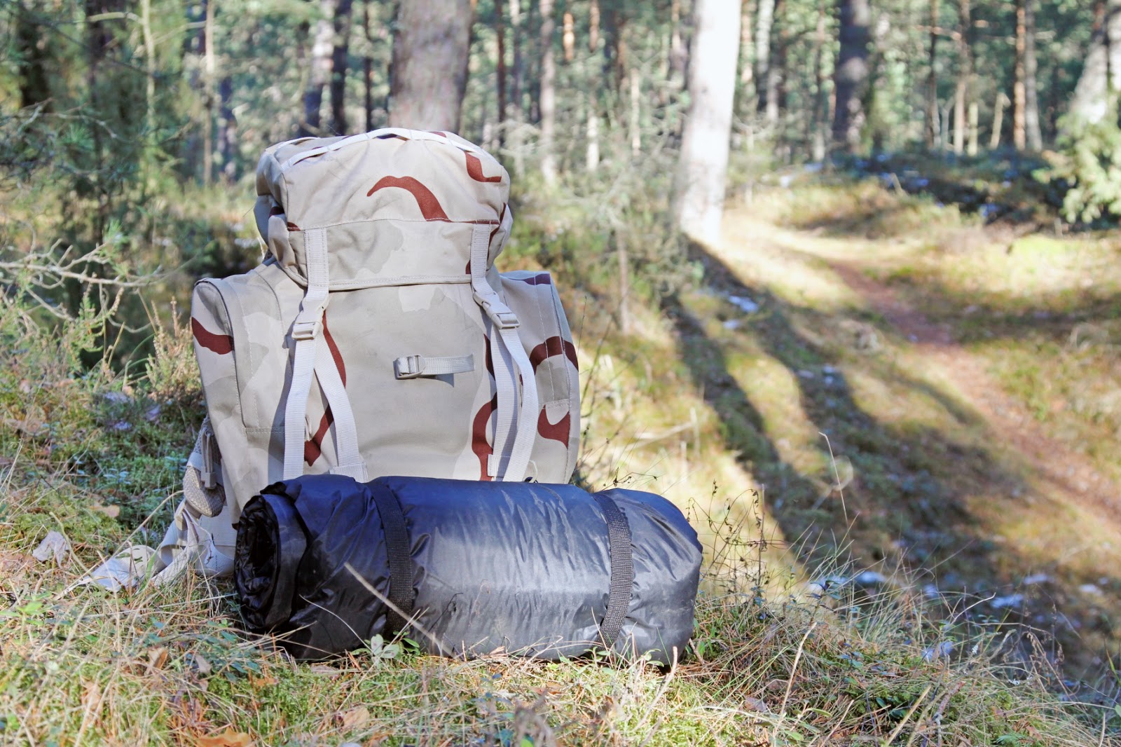 Day Hiking Trails: How to put on a backpack for your hike