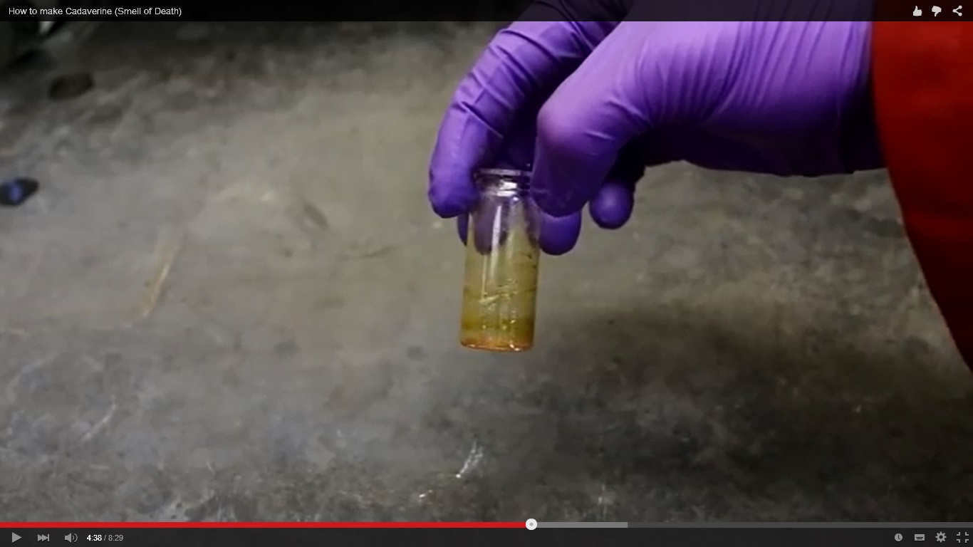 Textusa: Cadaver compound