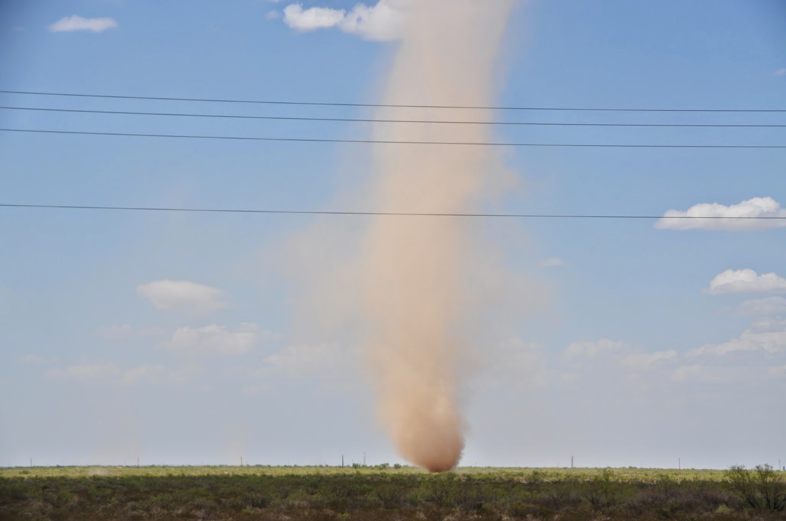 Tearoom Journal: DUST DEVILS